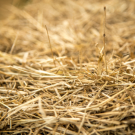 Determining Thread Size – How to Find the Right Adapter